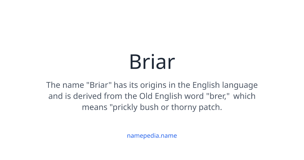 Briar - Meaning, Nicknames, Origins and More | Namepedia