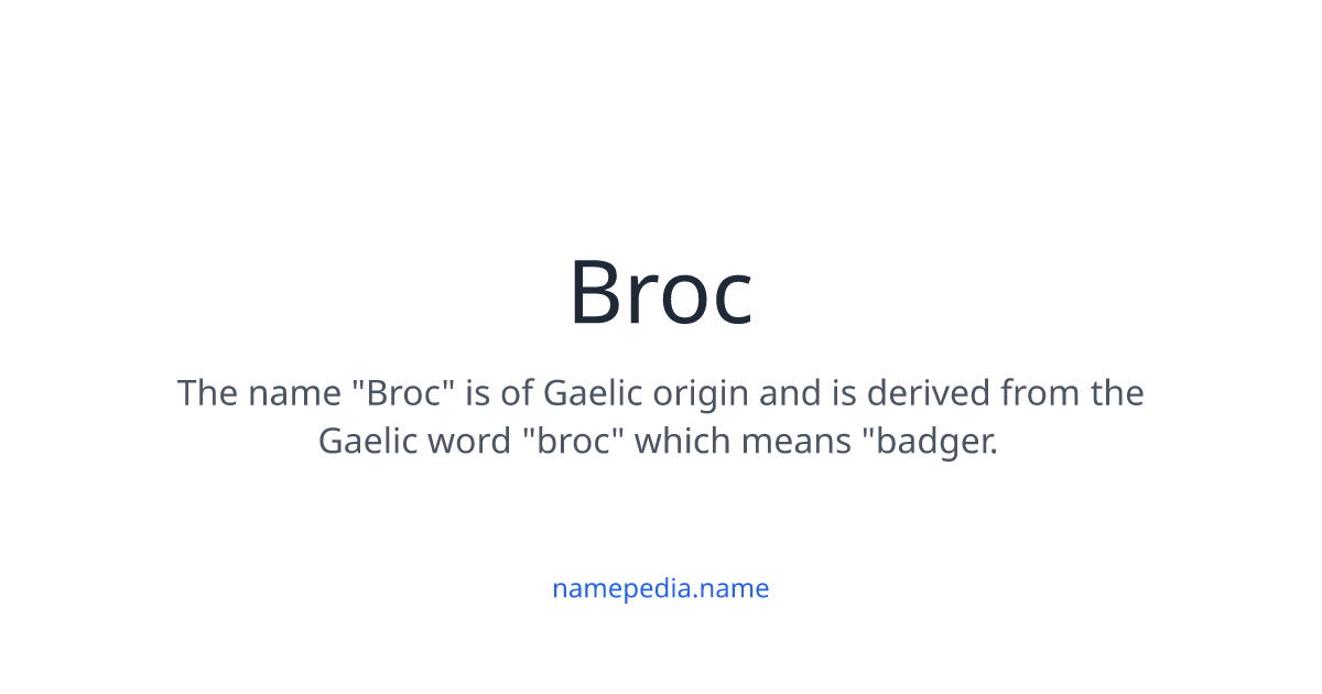 Broc Meaning, Origin, Nicknames & Popularity | Namepedia