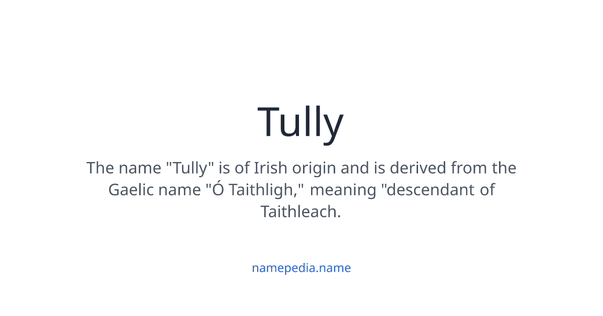 Tully Meaning, Origin, Nicknames & Popularity | Namepedia
